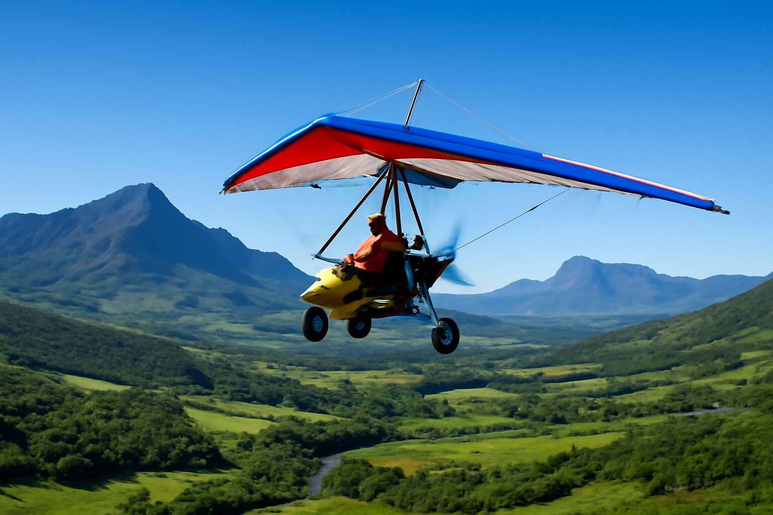 Discover the Essential Information About the Microlight License Cost ...